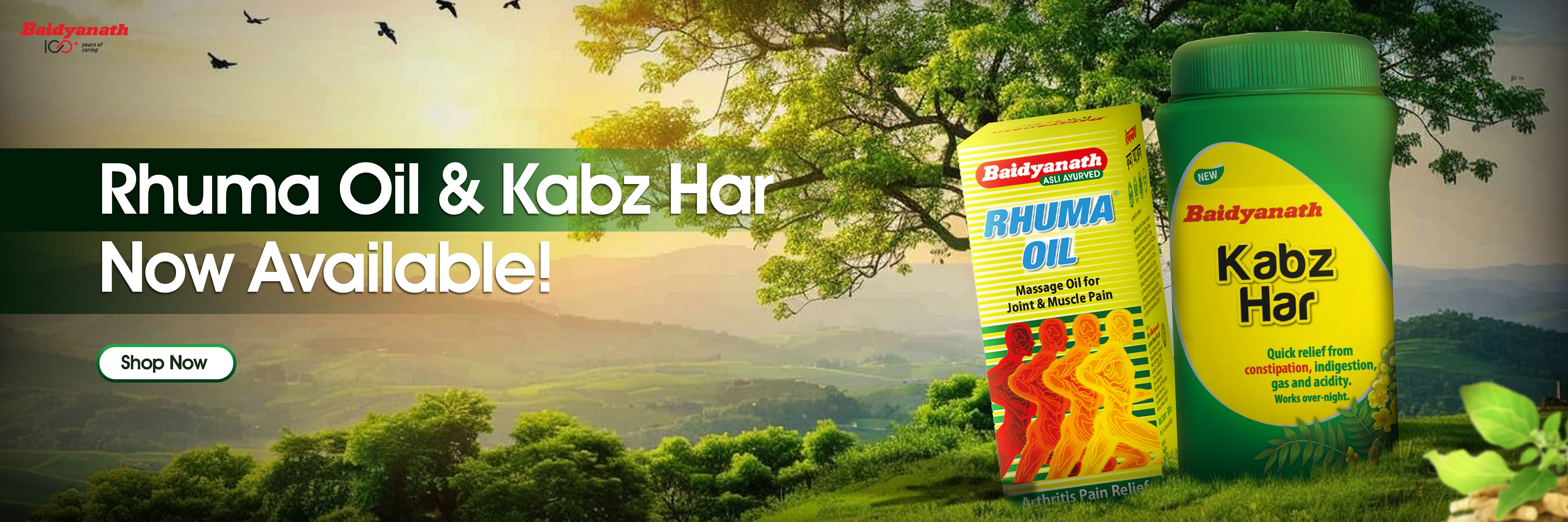 Baidyanath is India's most trusted brand for Ayurvedic treatment.